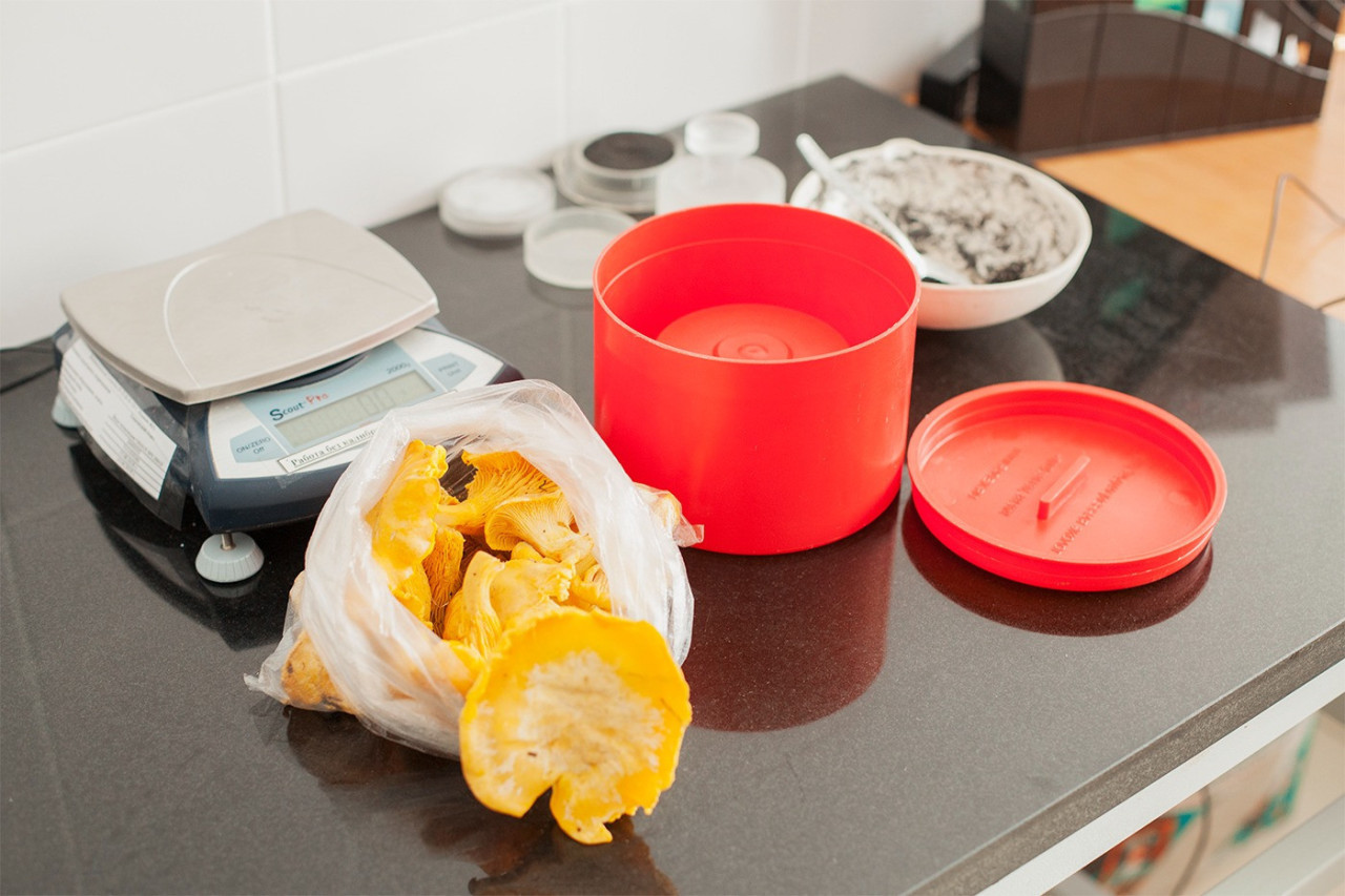 Специалистами Красноярского филиала проведены исследования экспортной ...